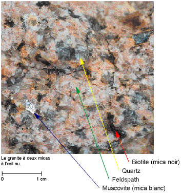 Roches du Chien : leucogranite | Patrimoine du Morvan